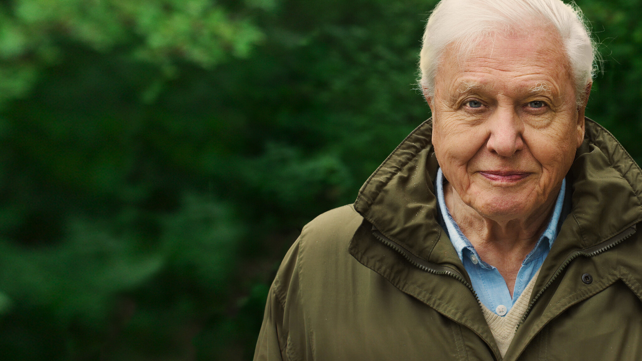 Watch David Attenborough: A Life on Our Planet | Netflix Official Site