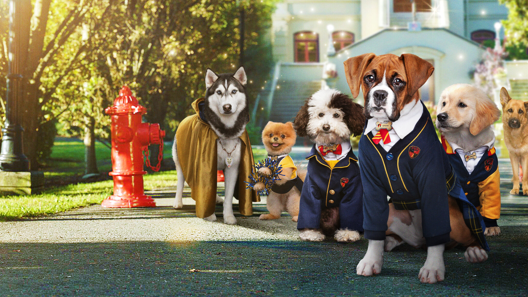 Watch Pup Academy | Netflix
