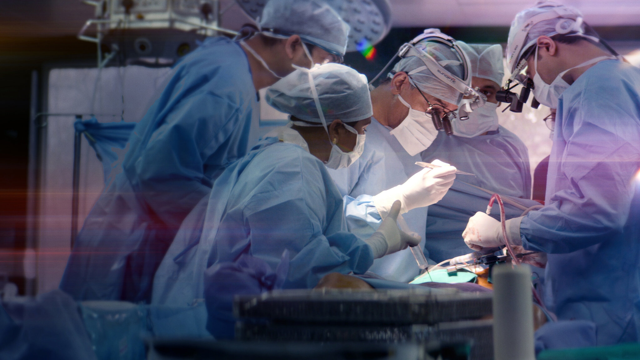 Watch The Surgeon's Cut | Netflix Official Site