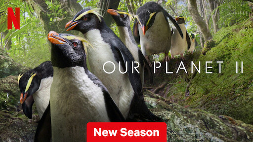 Watch Mission Blue | Netflix Official Site