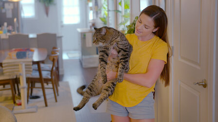 Watch Cat People | Netflix Official Site