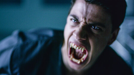 Watch The Order | Netflix Official Site