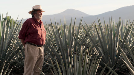 Watch Monarca | Netflix Official Site