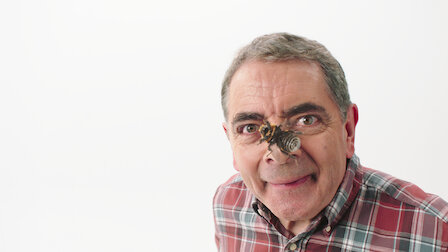 Watch Man Vs Bee | Netflix Official Site