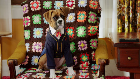 Watch Pup Academy | Netflix