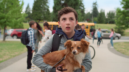 Watch The Healing Powers of Dude | Netflix Official Site