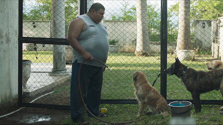 Watch Dogwashers | Netflix Official Site