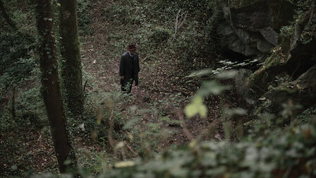 Watch The Forest | Netflix Official Site