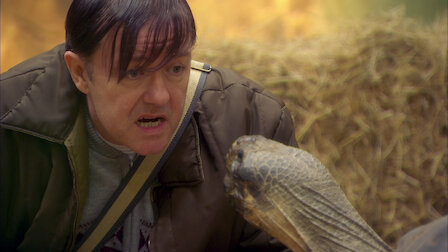 Watch Derek | Netflix Official Site