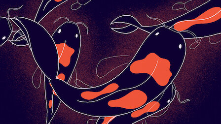 Watch Headspace Guide to Sleep | Netflix Official Site