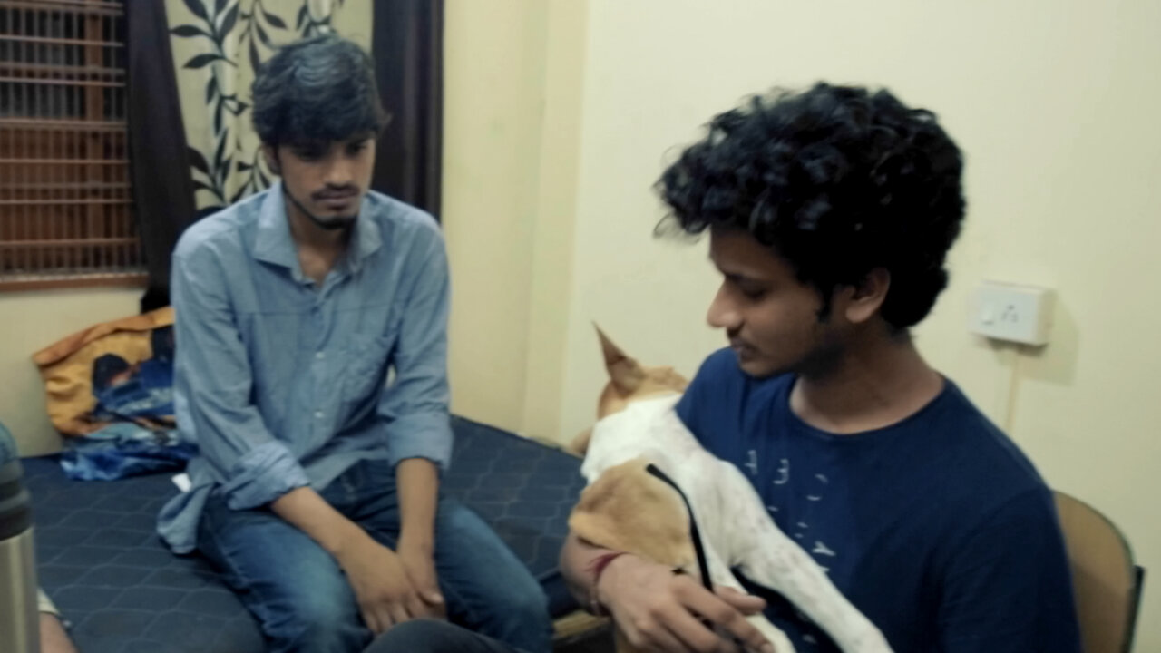 Watch Alma Matters | Netflix