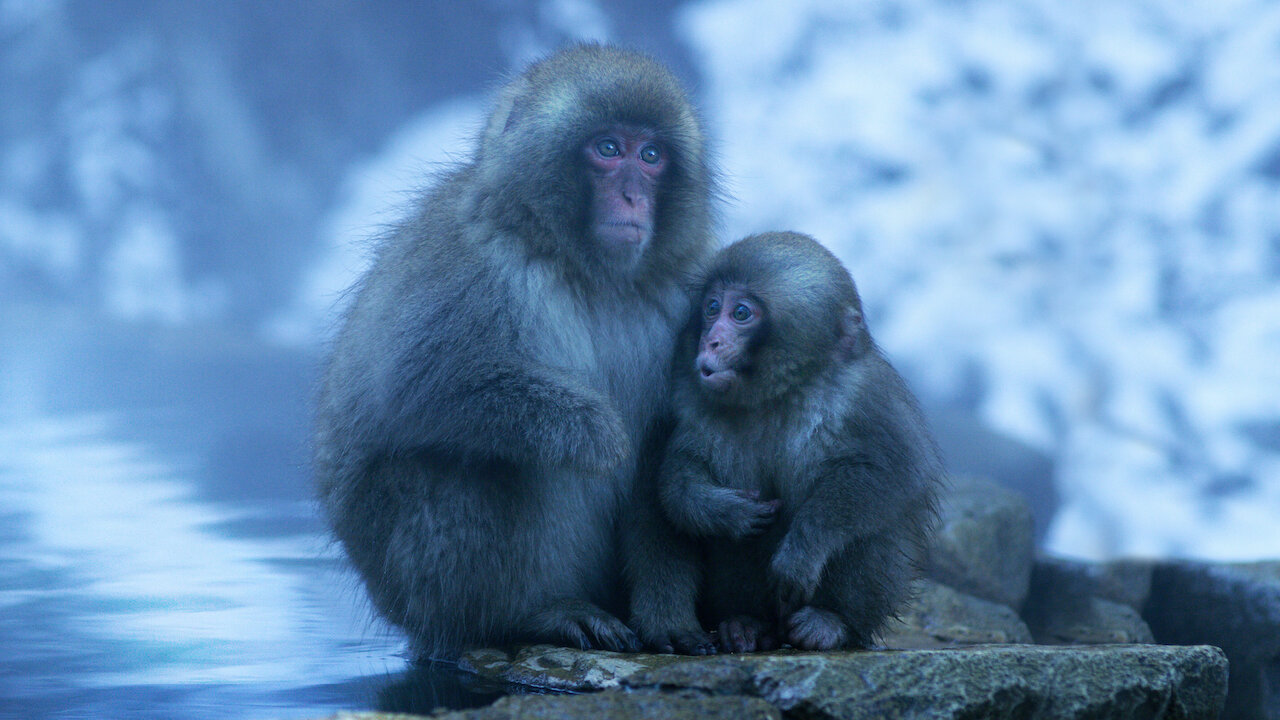 Watch Moving Art | Netflix