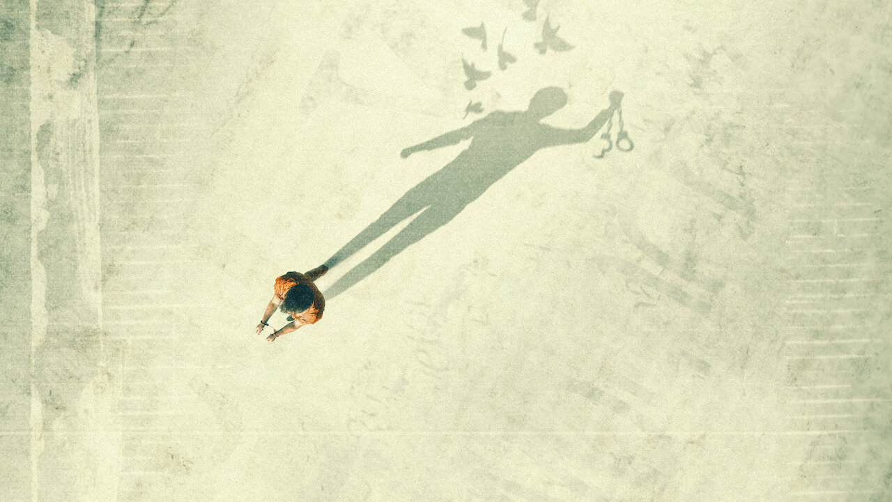 Watch The Innocence Files | Netflix Official Site