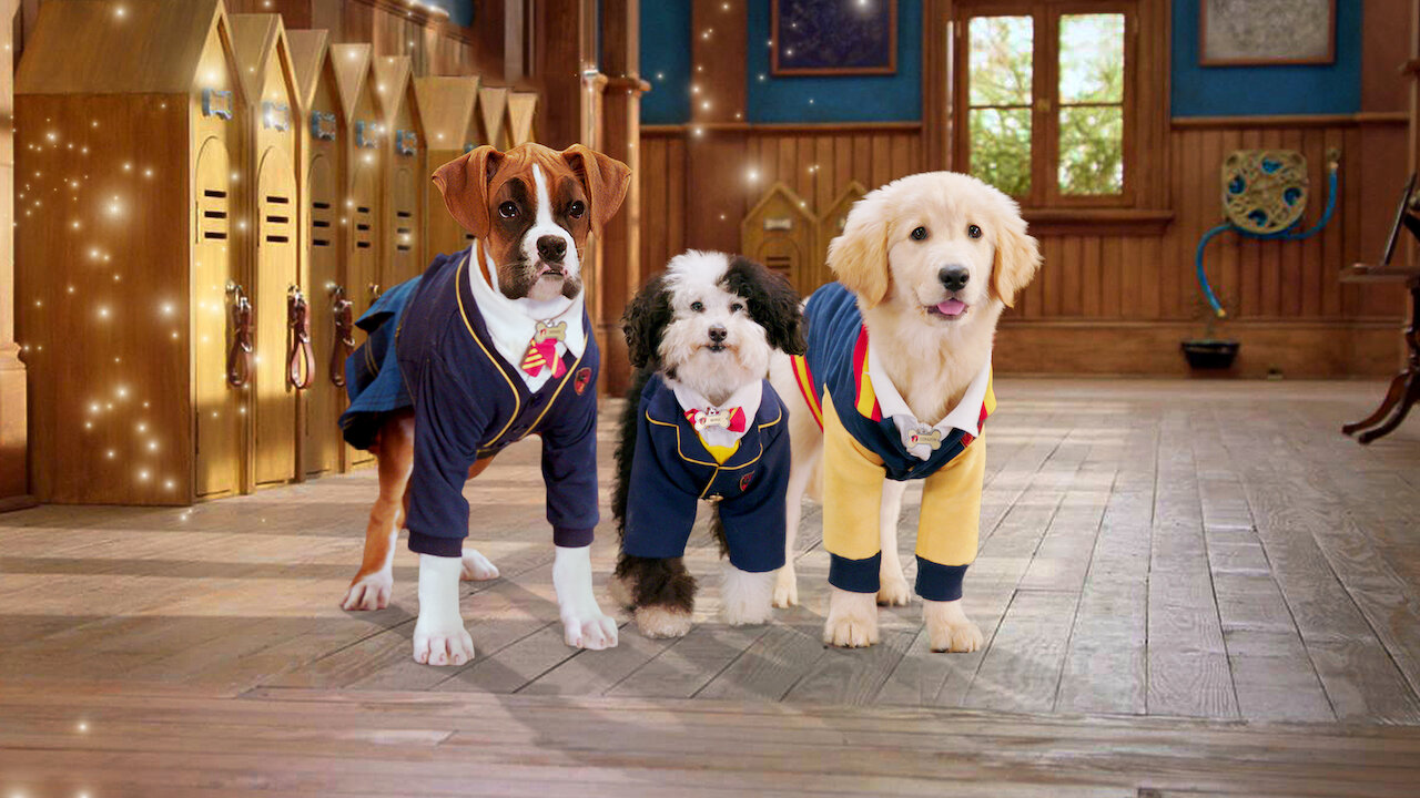 Watch Pup Academy | Netflix