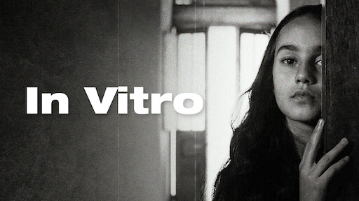 Watch Dabbe: The Possession | Netflix