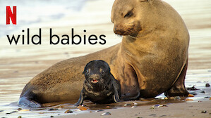 TV Shows | Netflix Official Site