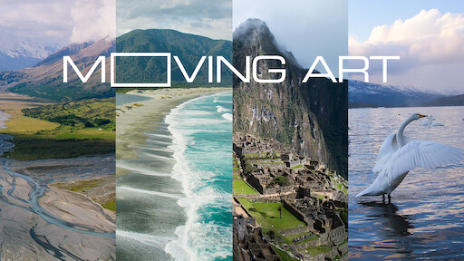 Watch Dancing with the Birds | Netflix Official Site